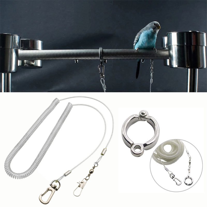 สายจูงนก สายคล้องขานก ห่วงขานก 3 เมตร 4-15มม ห่วงนก ป้อนกันนกหลุด ...