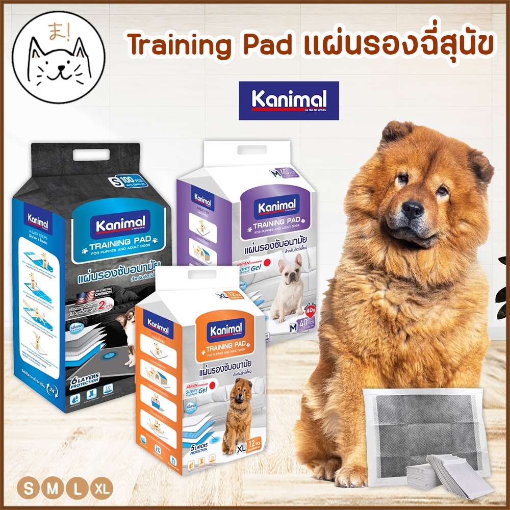 KUMA ま Kanimal Training Pad แผ่นรองฉี่สุนัข แผ่นรองซับ สำหรับสัตว์ ...