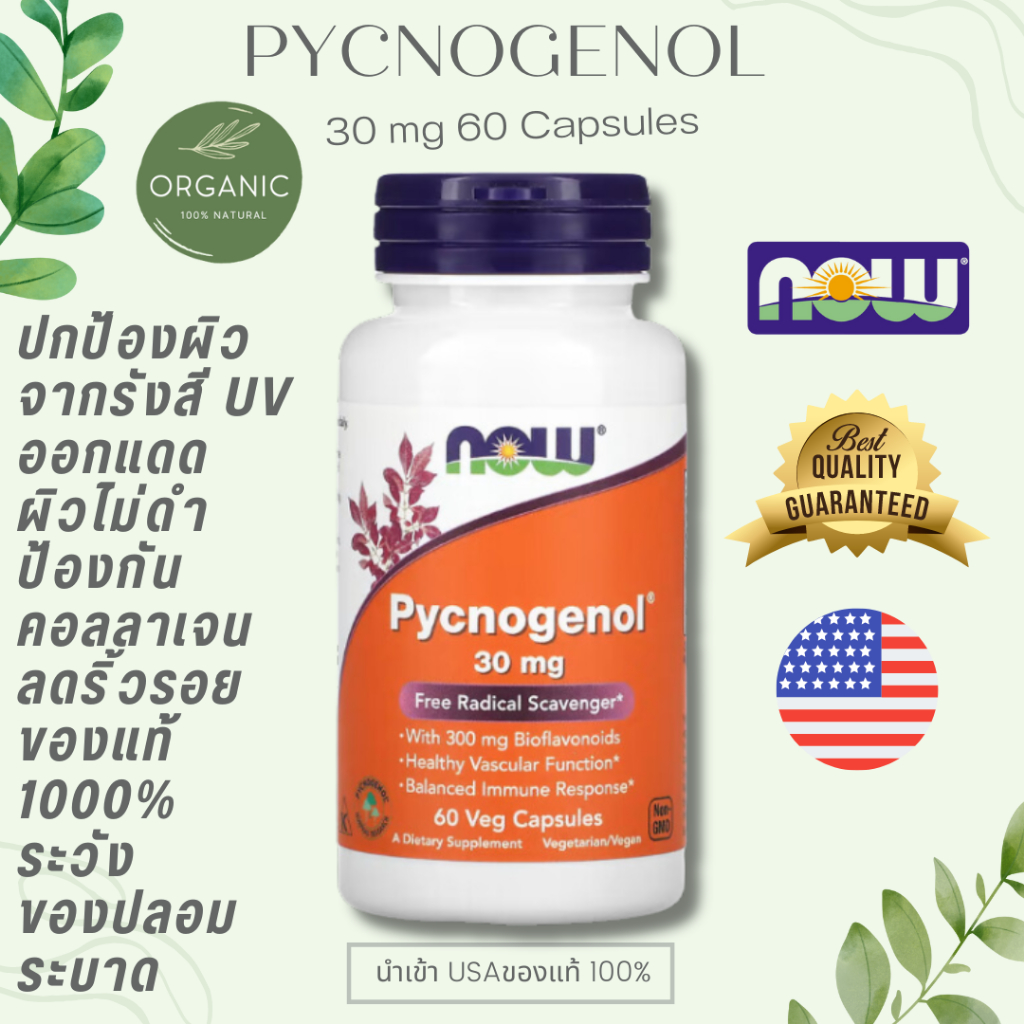 [ล็อตใหม่] NOW FOODS Pycnogenol 30 mg ปกป้องผิวจาก UV กันแดด ลดริ้วรอย ...