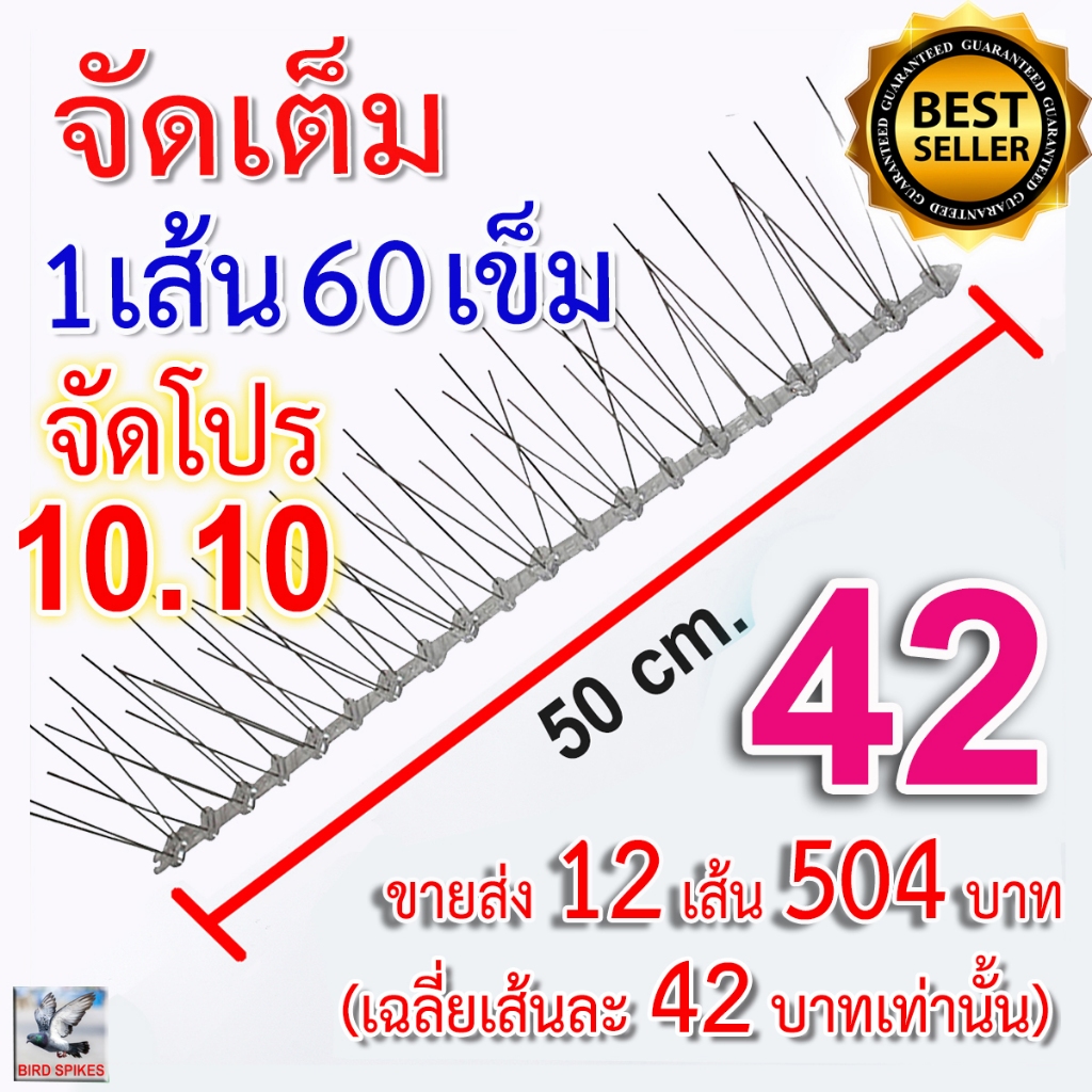 จัดโปร 10.10 หนามไล่นก หนามกันนกเกาะ รุ่นพิเศษ เข็มเต็มทุกช่อง มาก ...