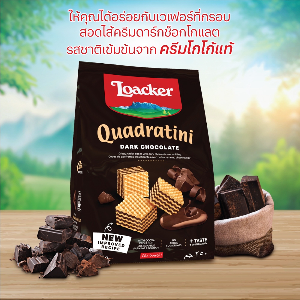 ล็อคเกอร์ ควอดราตินี ดาร์กช็อกโกแลต 250 กรัม / Loacker Quadratini Dark ...