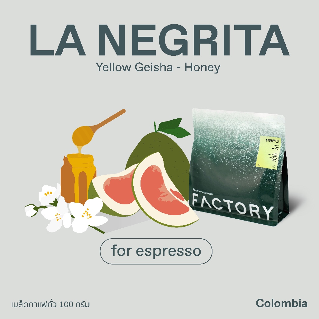 Factory Coffee เมล็ดกาแฟ Colombia - La Negrita "Yellow Geisha" l Honey ...
