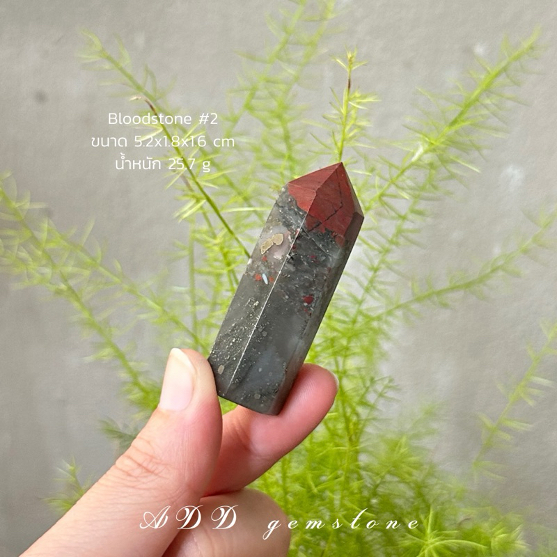 Bloodstone | บลัดสโตน #2 🍃 #point หินแห่งความกล้าหาญ - ADD gemstone ...