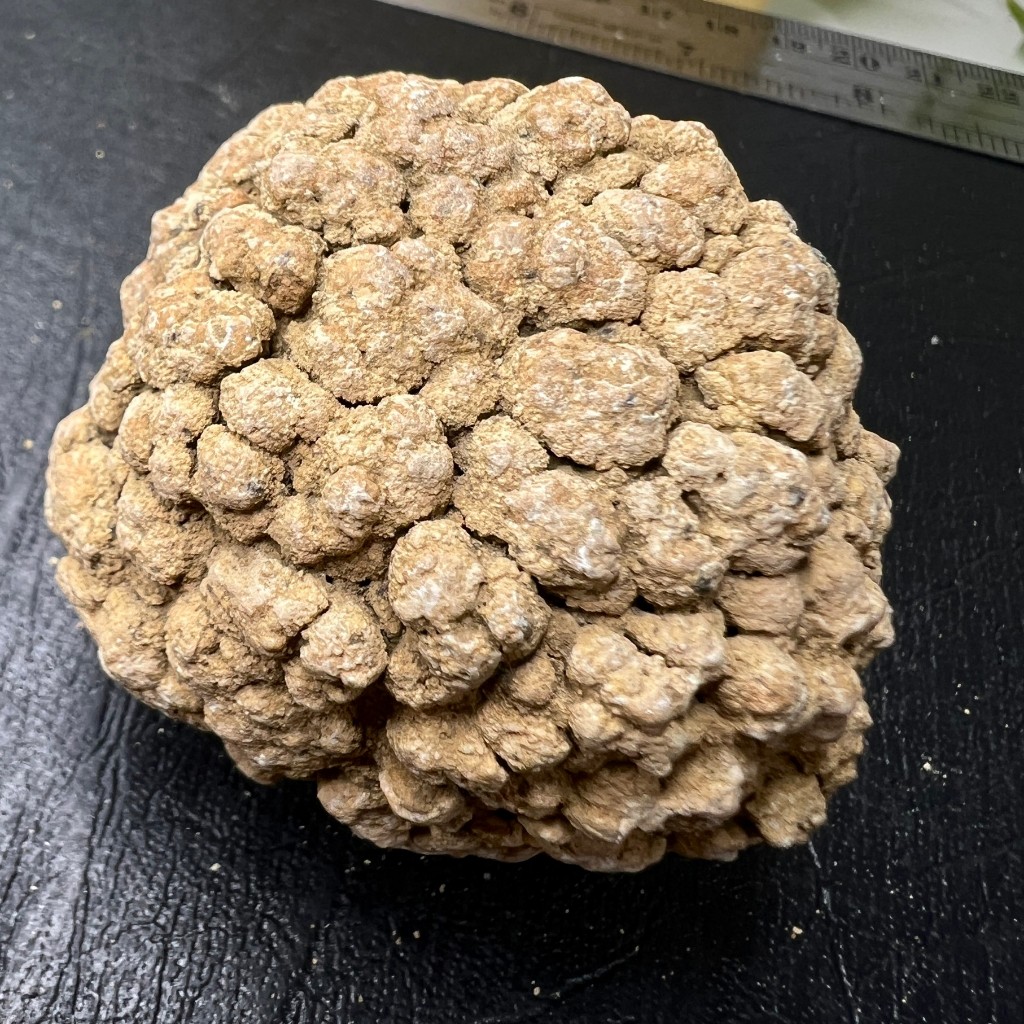 (163กรัม)หินพระธาตุ ก้อนดิบจากธรรมชาติ (Cauliflower Stone) | Shopee ...