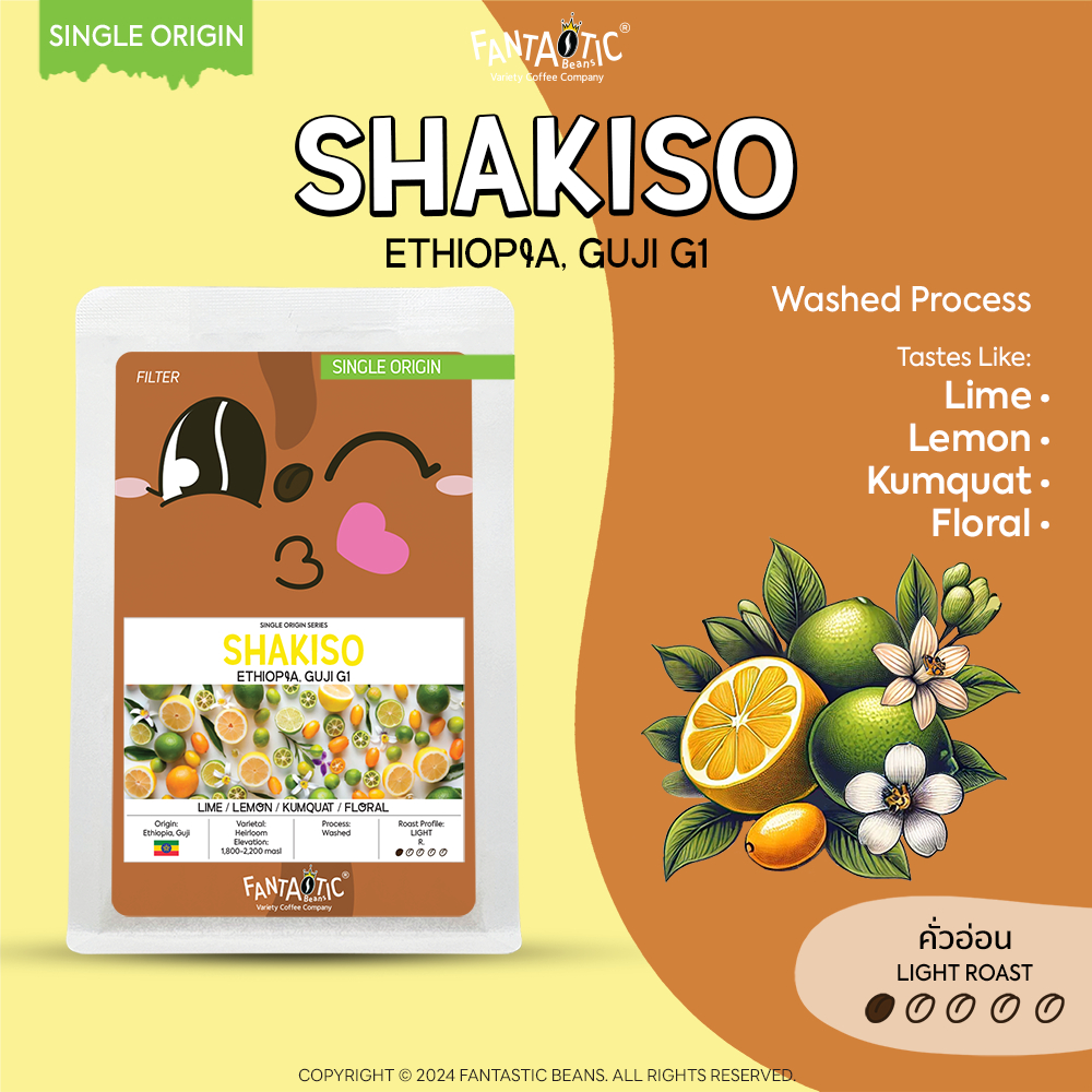 เมล็ดกาแฟ Ethiopia Shakiso Guji G1 100g คั่วอ่อน FANTASTIC Beans Variety Coffee Company | Shopee ...