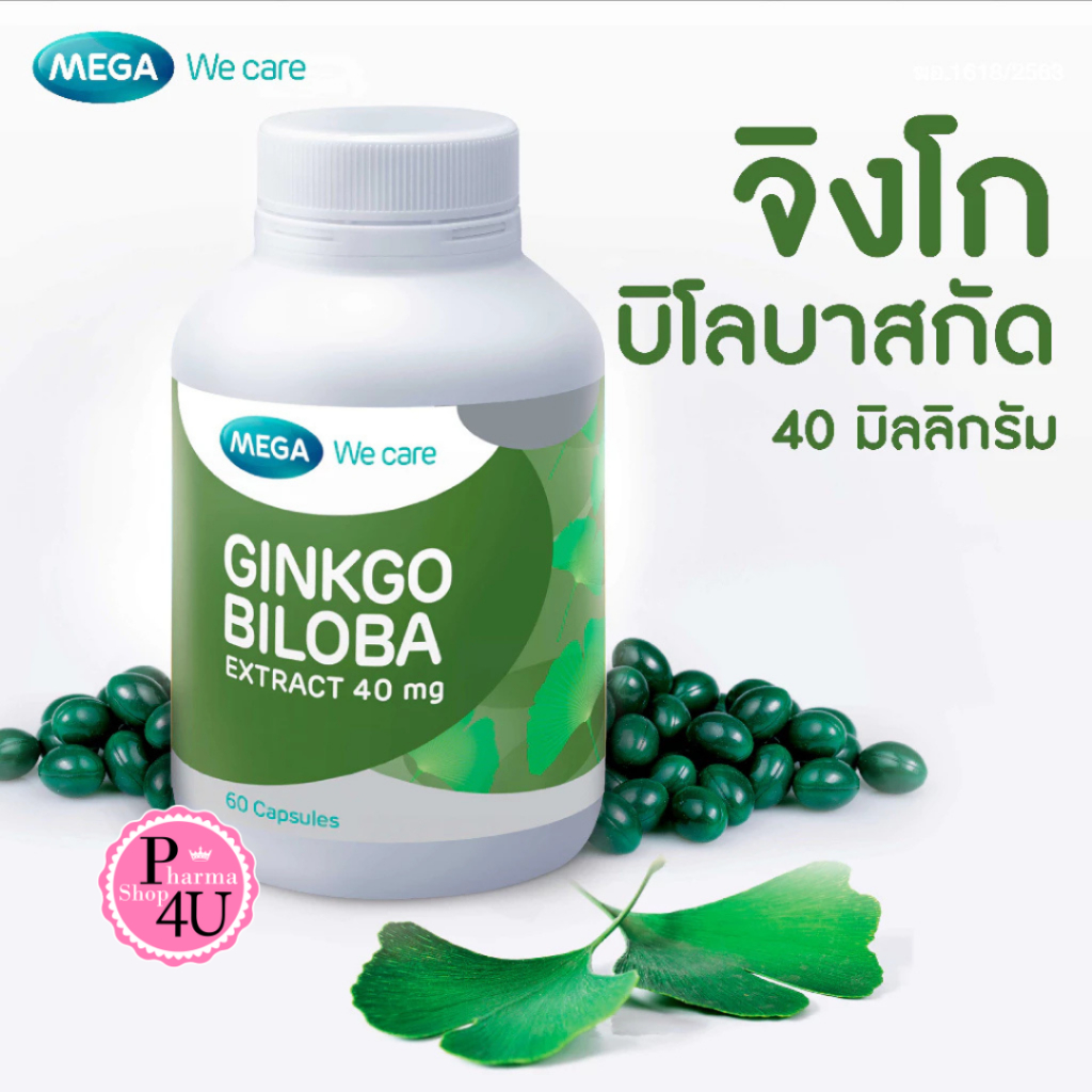 Mega We Care Ginkgo Biloba บรรจุ 60 แคปซูล เมก้า วี แคร์ จิงโกะ สารสกัด ...