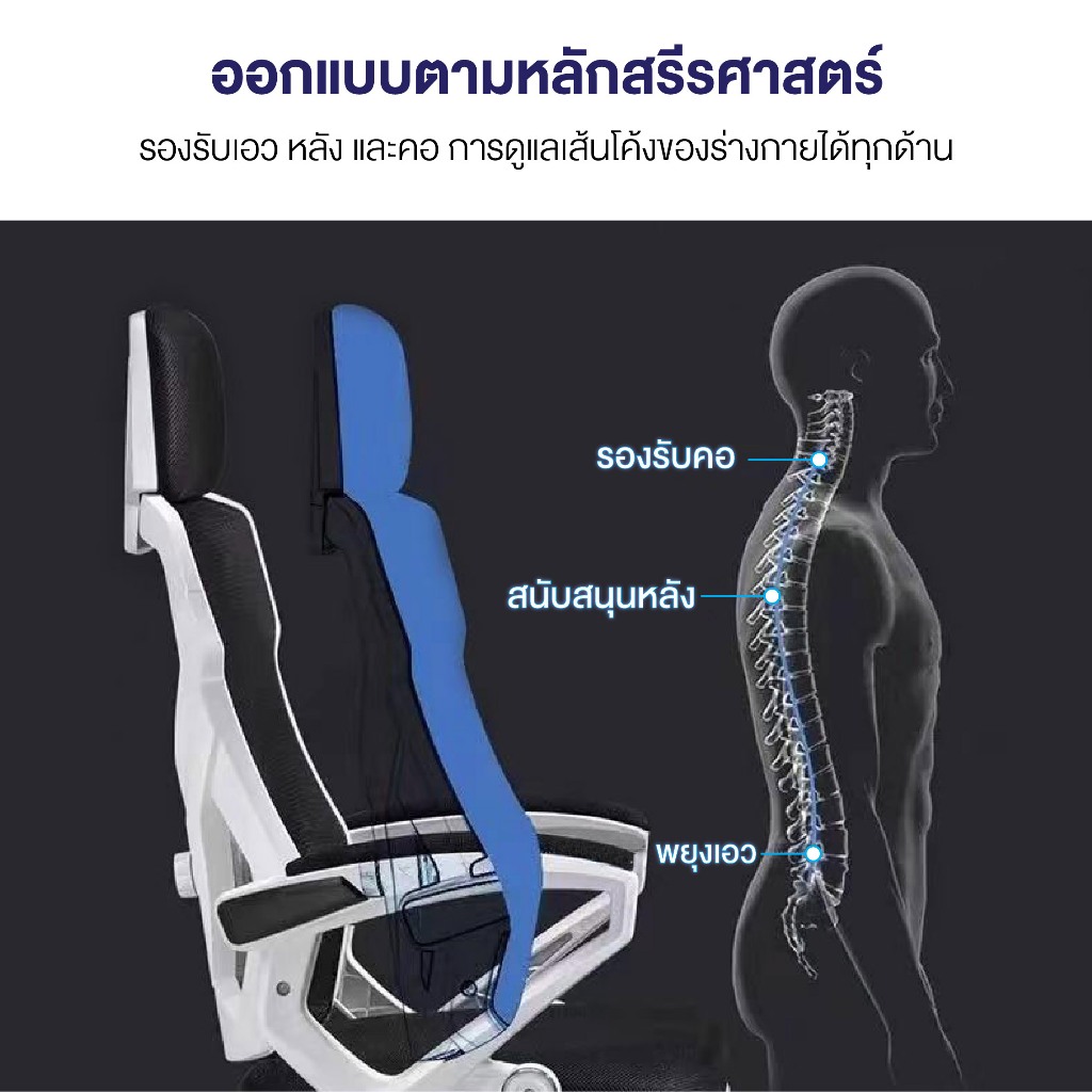 Elife เก้าอี้ทำงาน เอนได้ office chair เพื่อสุขภาพ สำหรับนั่งทำงาน ...