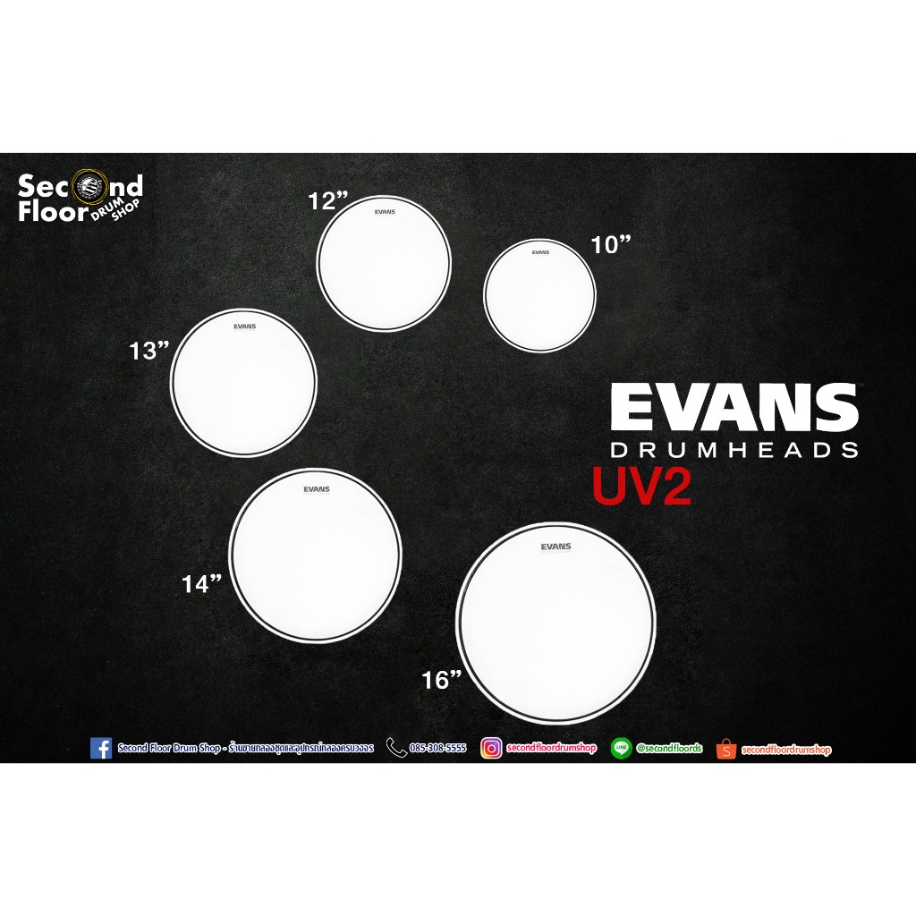 หนังกลอง EVANS รุ่น UV2 | Shopee Thailand