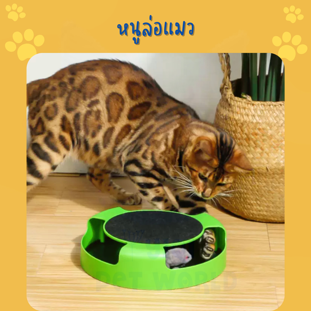 🔥 (พร้อมส่งจากไทย) ของเล่นแมว ไล่จับหนูในอุโมง (Y061) | Shopee Thailand