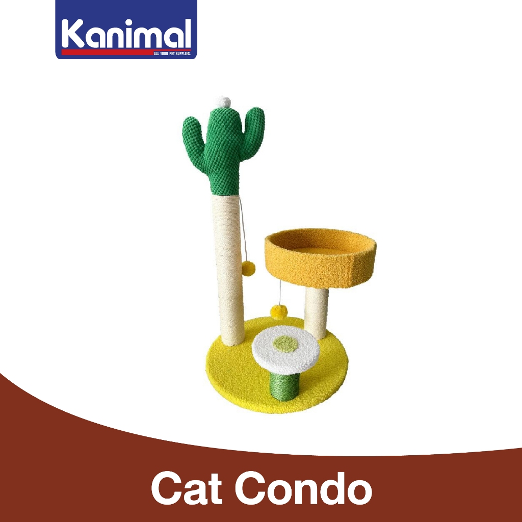 [CT-31000] Kanimal Cactus Sleeper คอนโดแมว ของเล่นแมว สำหรับแมวทุกวัย ...