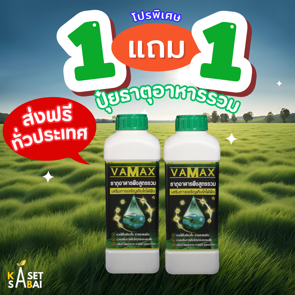 VAMAX ปุ๋ยธาตุอาหารรวม เสริมการเจริญเติบโต (โปรโมชัน 2 ลิตร) 290 บาท ...