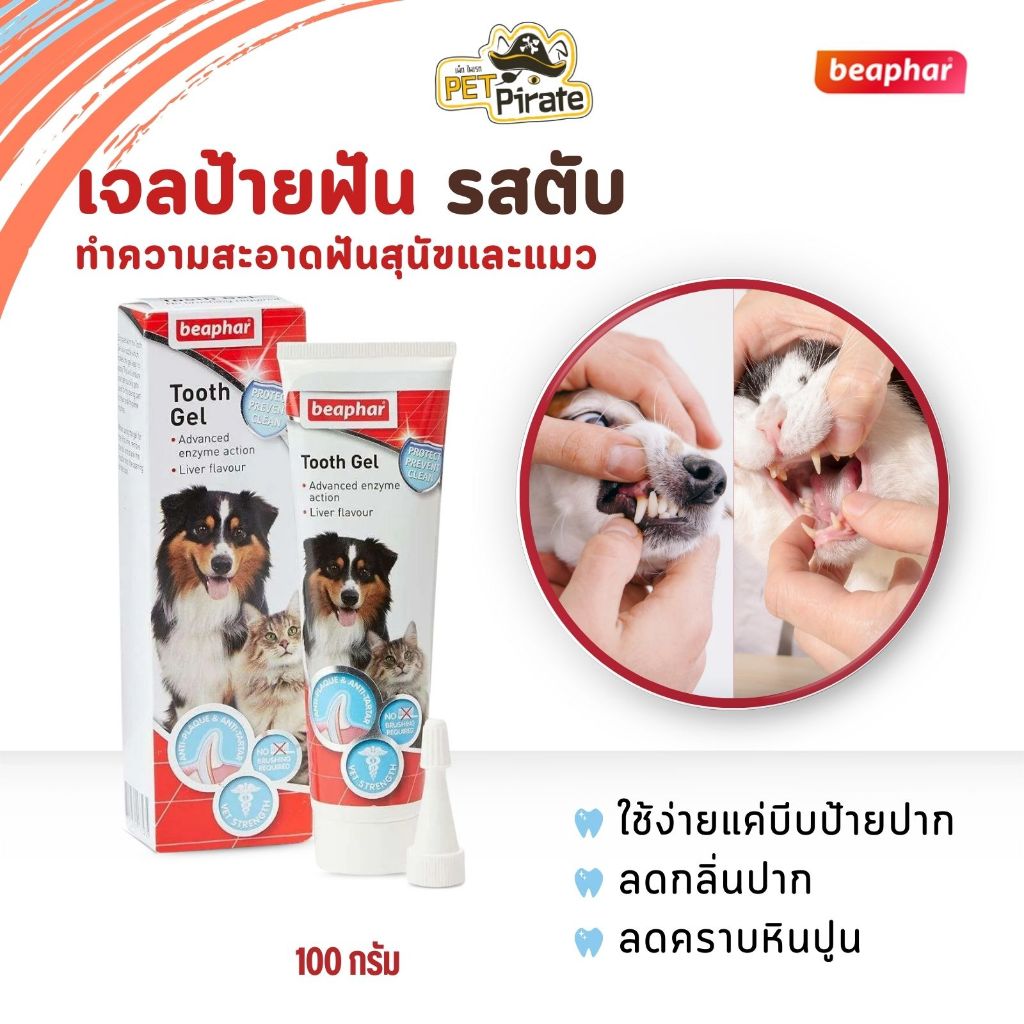 Beaphar Tooth Gel เจลป้ายฟัน ทำความสะอาดฟันและช่องปากสำหรับสุนัขและแมว ...
