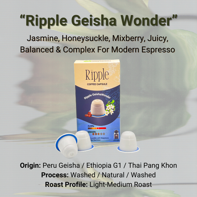 Ripple แคปซูลกาแฟ “Ripple Geisha Wonder” (10 Capsules) | Shopee Thailand