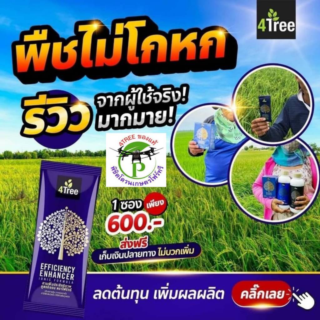 4Tree (โฟร์ ทรี) 1 ซอง ใช้ได้ 15-20 ไร่ สารเสริมประสิทธิภาพ พืชโตเร็ว ใช้ได้กับพืชทุกชนิด จาก ...