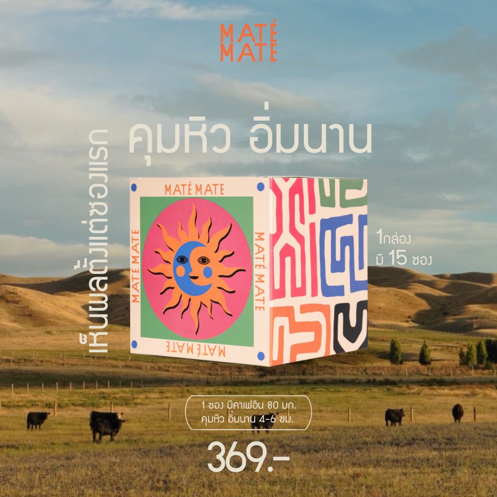 MATE MATE (มาเต้ เมท) 100% ชาเยอร์บามาเต้แท้ กินง่าย ไม่ขม จากประเทศ ...