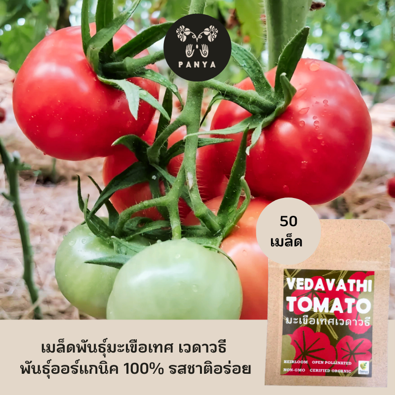 เมล็ดพันธุ์ เขือเทศ เวดาวธี (Vedavathi Organic Tomato Seeds) บรรจุ 50 ...