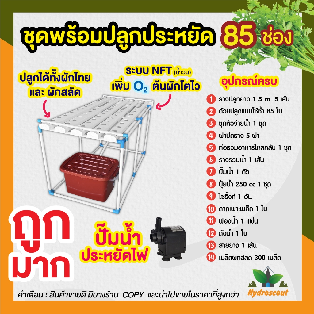 ชุดปลูกผักไฮโดรโปนิกส์ 85 ช่อง By Hydroscout *รบกวนอ่านรายละเอียดการรับ ...