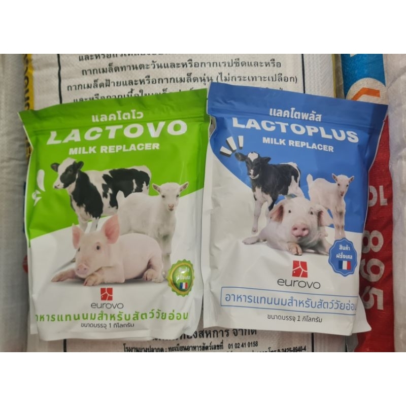 แลคโตพลัส Lactoplus /Lactovo นมสำหรับสัตว์ ขนาด 1 กิโลกรัม โค แพะ แกะ ...