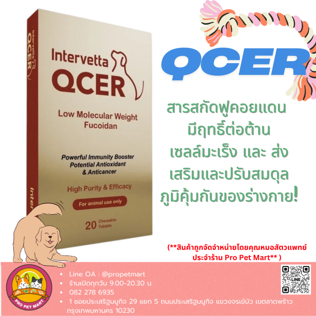Intervetta QCER ผลิตภัณฑ์ต่อต้านมะเร็งและเสริมภูมิคุ้มกันร่างกายให้สมดุลย์สุนัขและแมว | Shopee ...