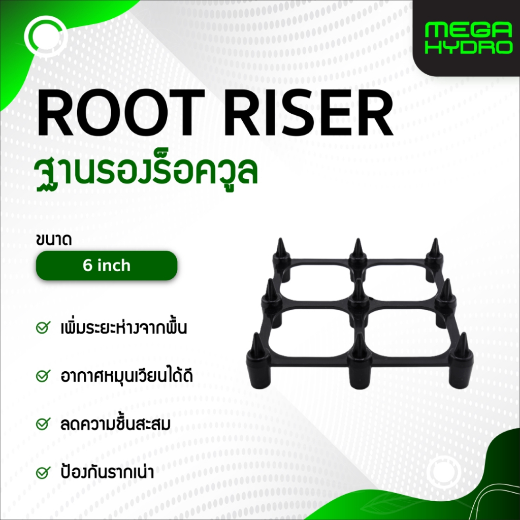 Root Riser ฐานรองร็อควูล 6 นิ้ว ฐานยกราก ป้องกันการรากเน่า ลดความชื้น ...