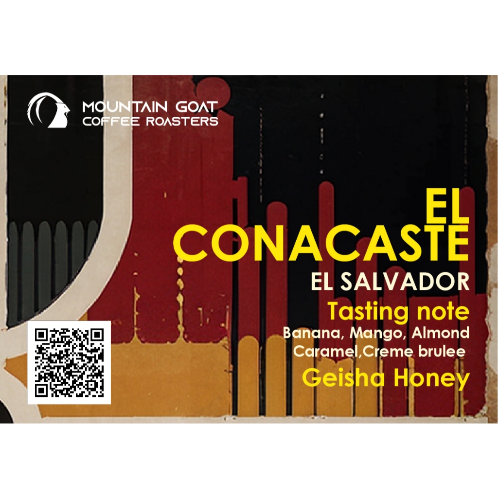El Conacaste หวานเหมือนครีมบลูเล่ มะม่วง | Shopee Thailand