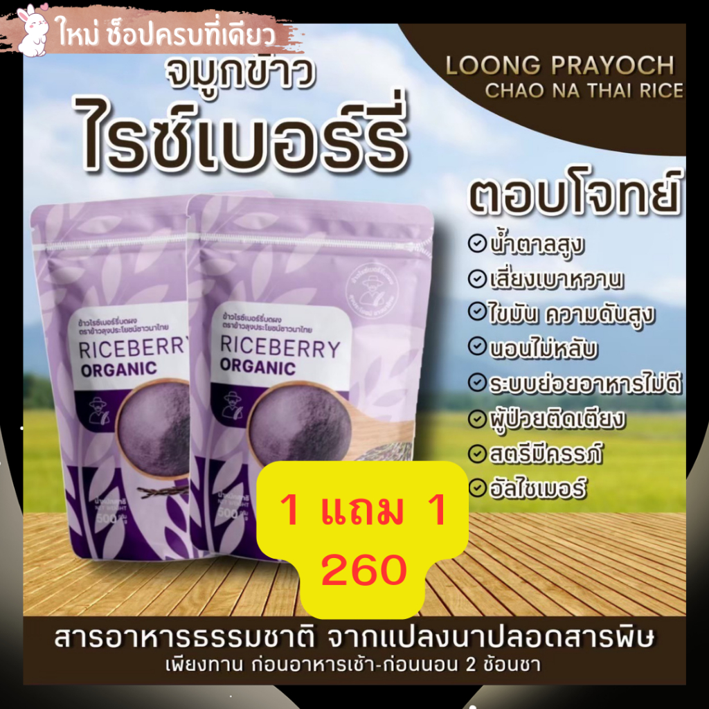 จมูกข้าวไรซ์เบอร์รี่ 500gX2 #ชงพร้อมดื่ม หอม อร่อย สุขภาพดีทั้งครอบครัว ของแท้100% | Shopee Thailand