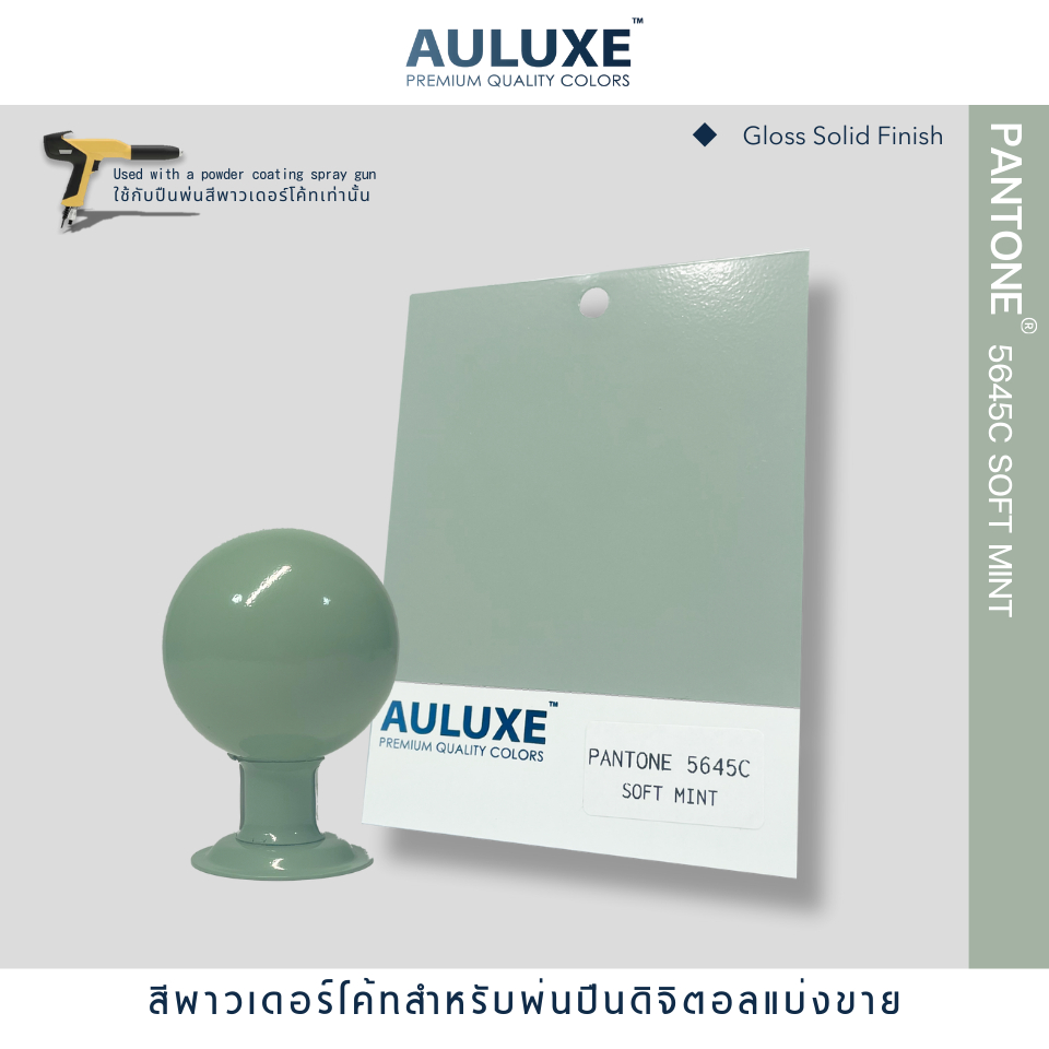 ผงสีพาวเดอร์โค้ท PANTONE 5645C สีเขียวมิ้นท์อมเทา แบ่งขาย 1 กก. สำหรับ ...