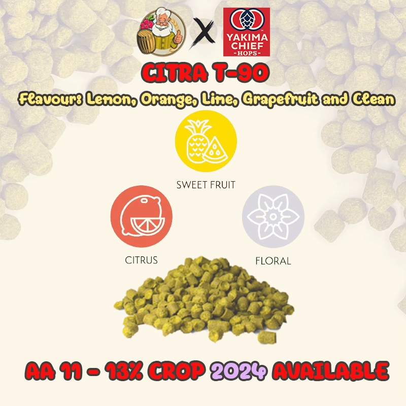 ซีตร้าฮอปส์ Citra (US) PELLET HOPS (T90) Crop Year 2024 hopsทำเบียร์ ...