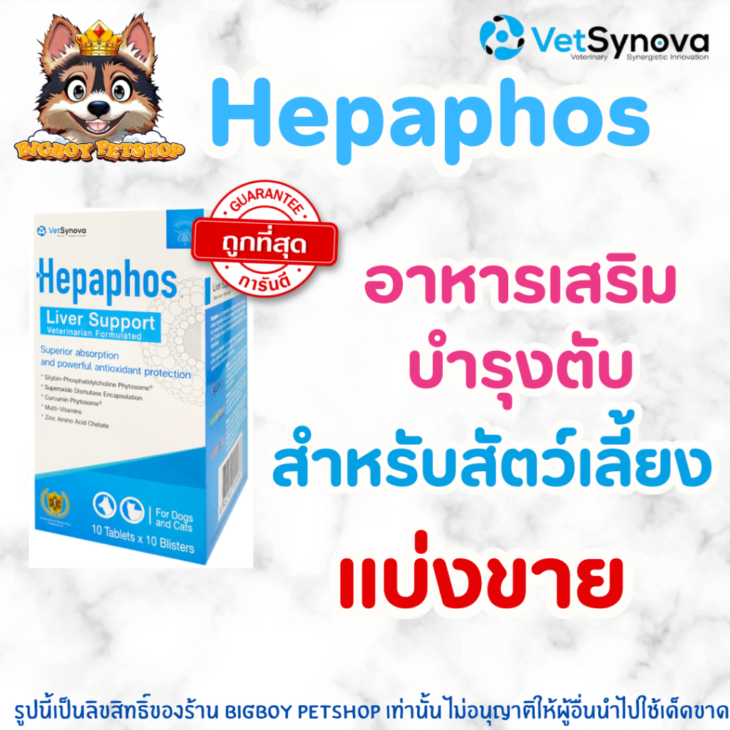 Hepaphos Liver Support เฮปพาฟอส วิตามิน บำรุงตับ สุนัข แมว | Shopee ...