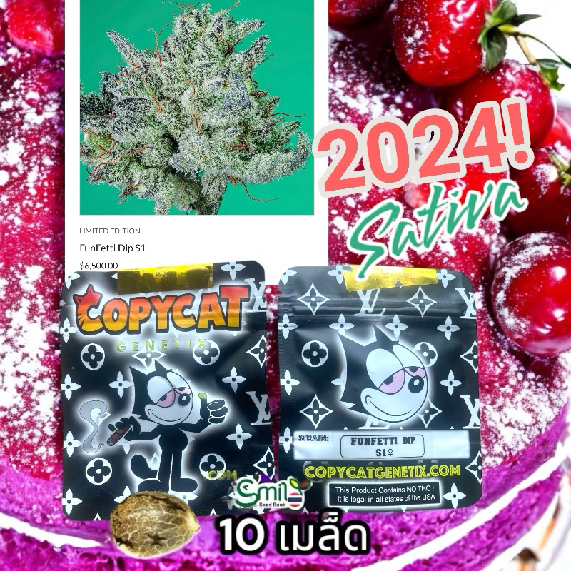 เมล็ดกัญชา Funfetti Dip (Fem) Sativa เบอรี่เค้ก 2024* - Copycat Genetix ...