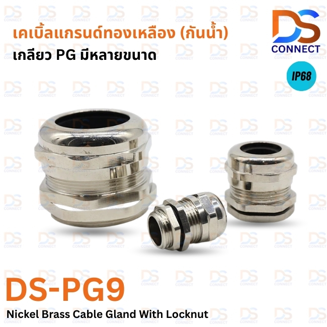 DS-PG9 Cable Gland Nickel Brass With Locknut เคเบิลแกรนด์ทองเหลืองชุบ ...