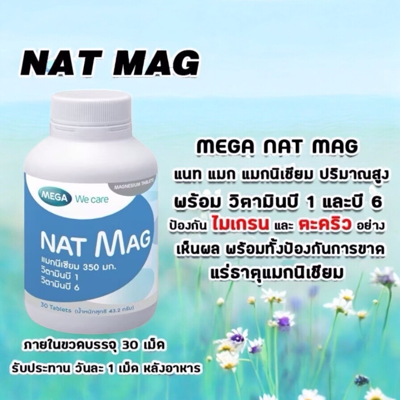 MEGA Nat Mag เมก้า แนท-แมก ขนาด 30 เม็ด/ขวด ป้องกันไมเกรน ตะคริว ขาดแร่ ...