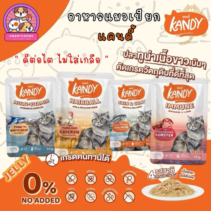 Kandy อาหารเปียกแมว แคนดี้ ขนาดซองละ 70 กรัม | Shopee Thailand