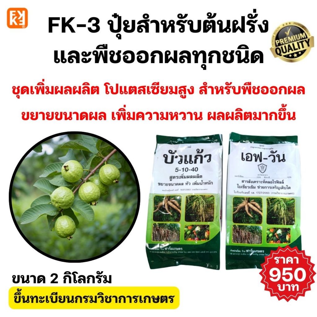 ปุ๋ยทางใบ FK-1 และ FK-3 สำหรับฝรั่ง เร่งโต ใบเขียว เร่งผล ผลใหญ่ ผลดก ...