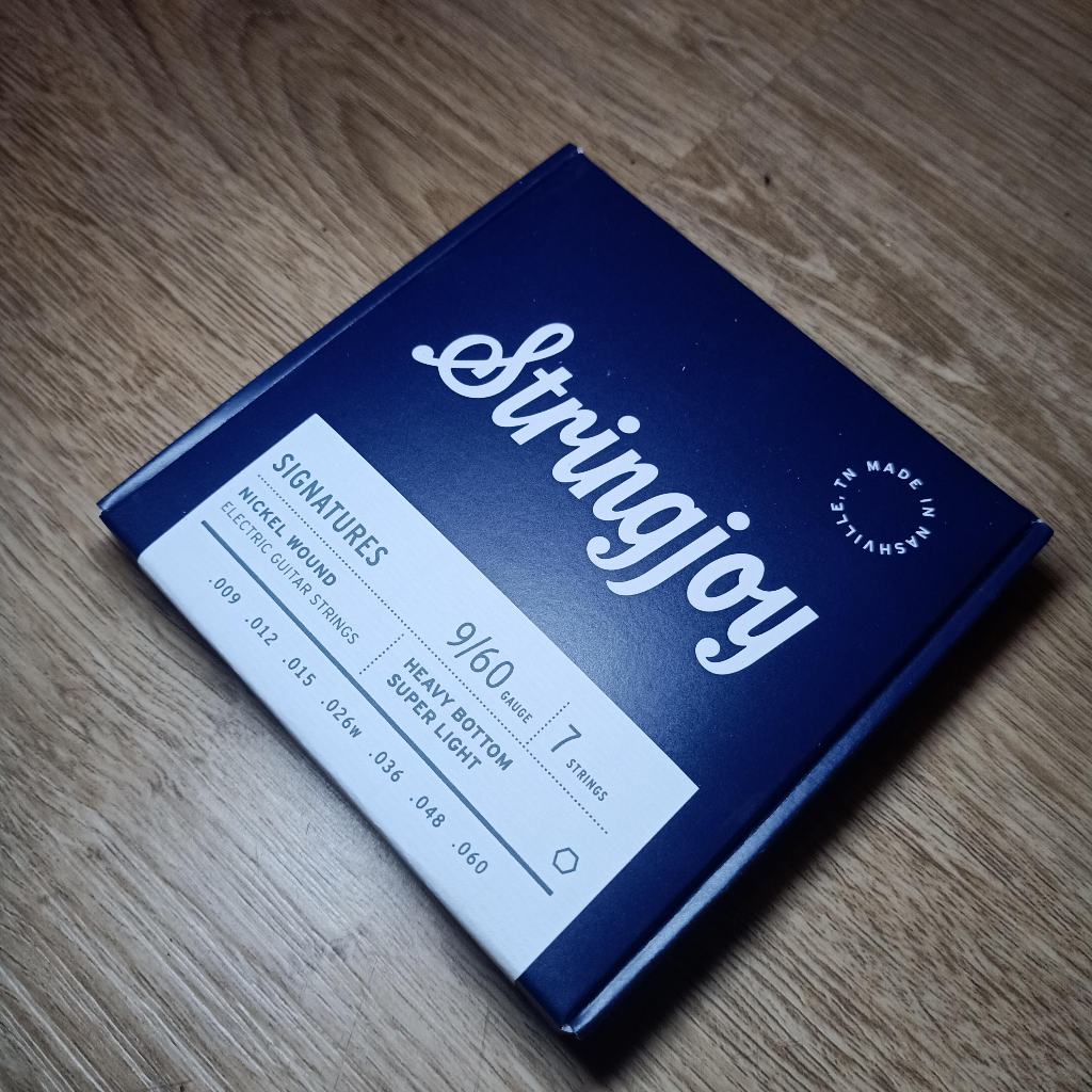 Stringjoy Signatures สายกีตาร์ไฟฟ้า 7 สาย เบอร์ 9 - 60 (7 string set ...