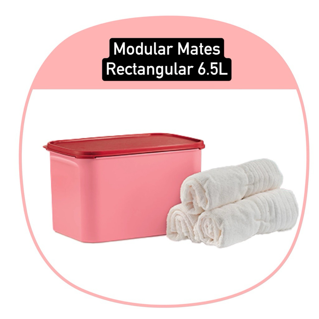 Tupperware รุ่น Modular Mates Rectangular ขนาด 6.5L | Shopee Thailand