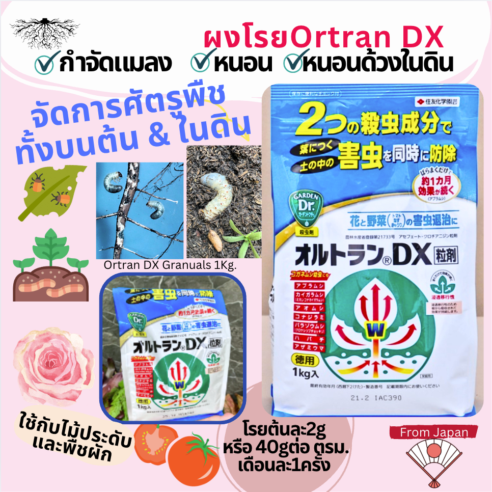 ผงโรยกำจัดแมลง ทั้งบนต้นและในดิน แบบดูดซึม+โดนตัวตาย Ortran DX granules ...