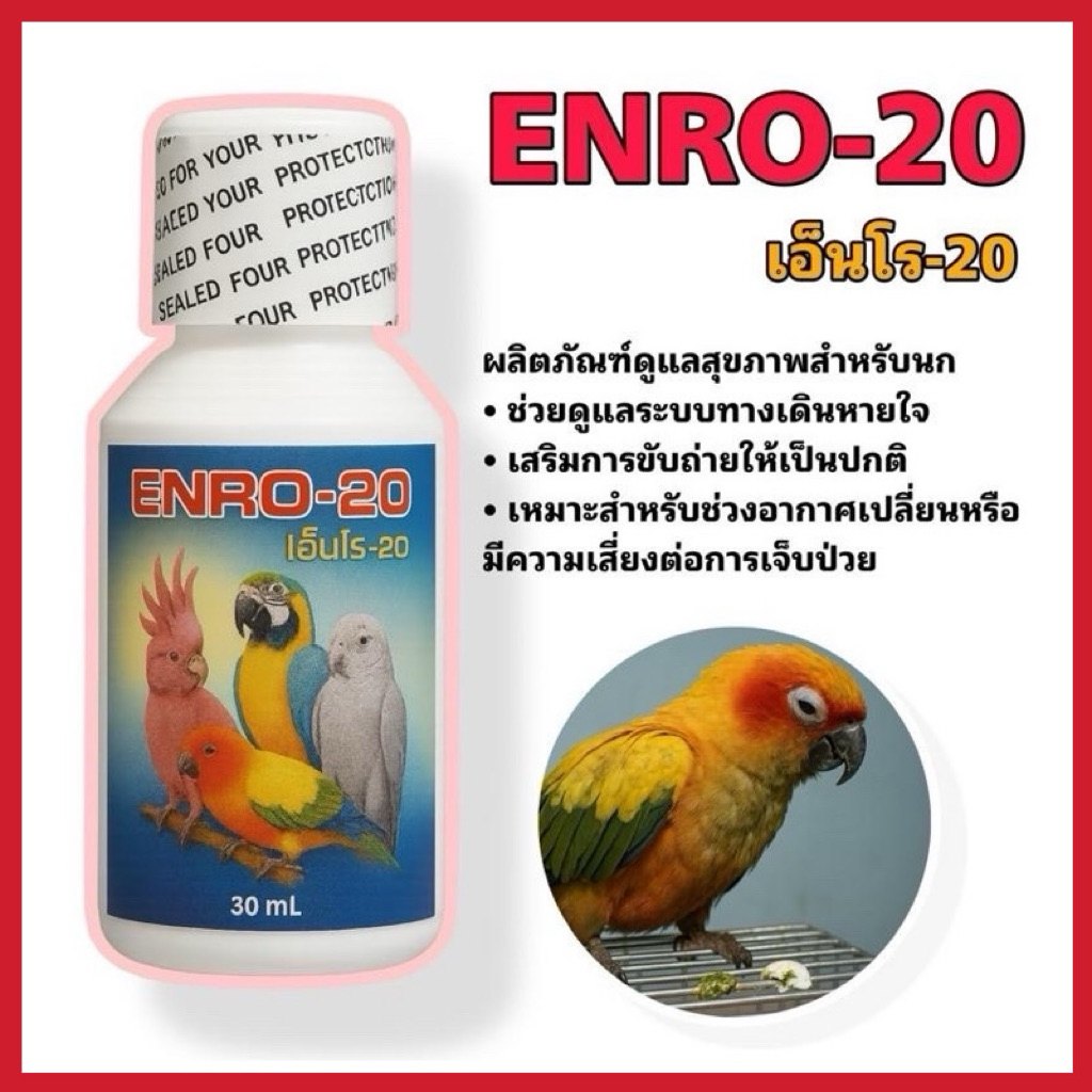 เสริมสุขภาพนก ENRO-20 ขนาด 30 ml | Shopee Thailand