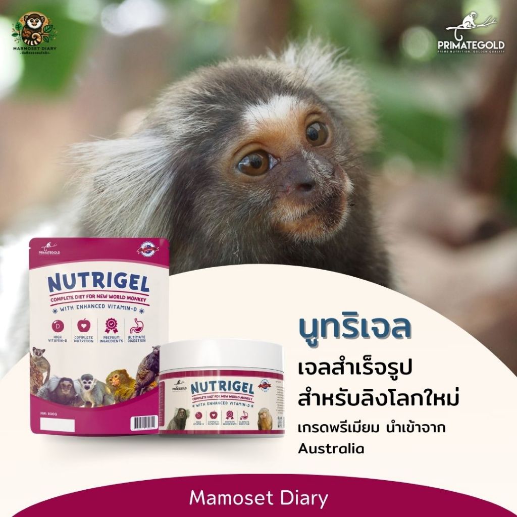 อาหารลิง NutriGel เจลลิงโลกใหม่ เหมาะกับมาโมเสท ทามารีน คาปูชิน ลิง ...