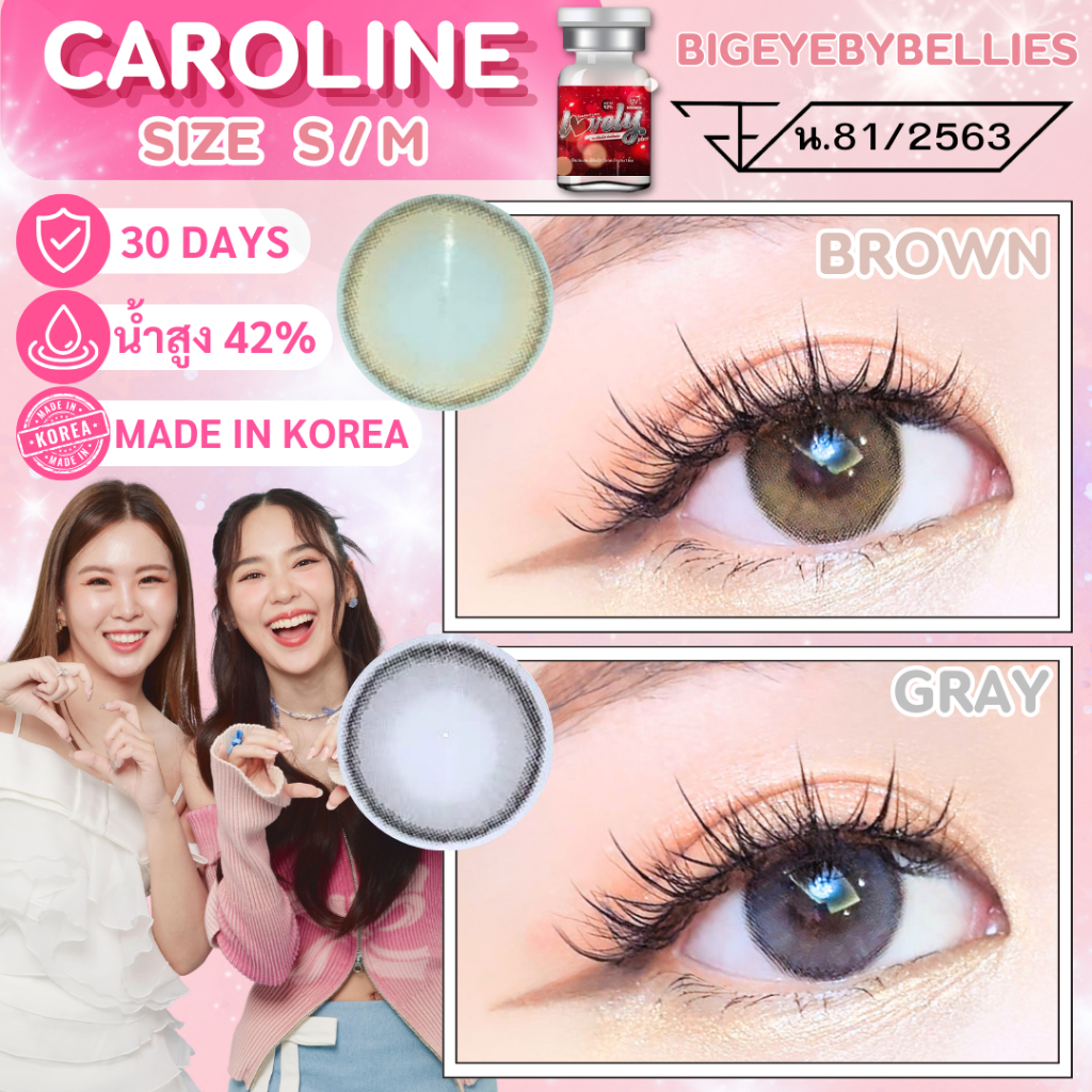 🔥คอนแทคเลนส์ ขนาดมินิ / กลาง Brown/Gray Caroline (Lovelylens) | Shopee ...
