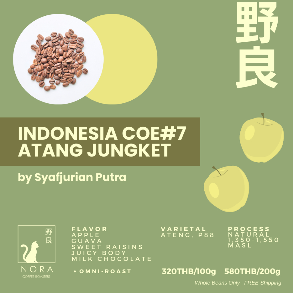Indonesia Atang Jungket Gayo Natural (COE #7) เมล็ดกาแฟคั่ว (Omni-Roast ...