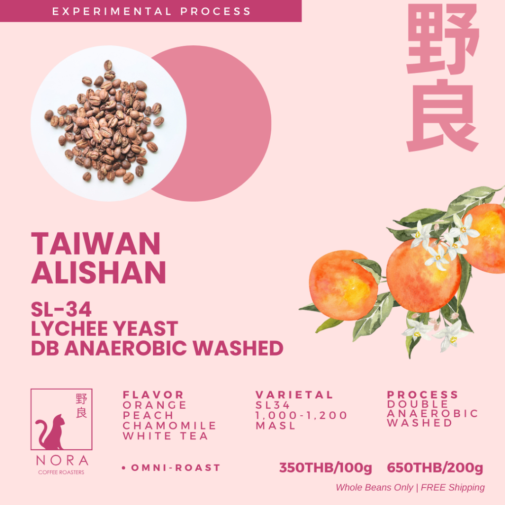 Taiwan Alishan SL-34 Lychee Yeast Double Anaerobic Washed เมล็ดกาแฟคั่ว ...