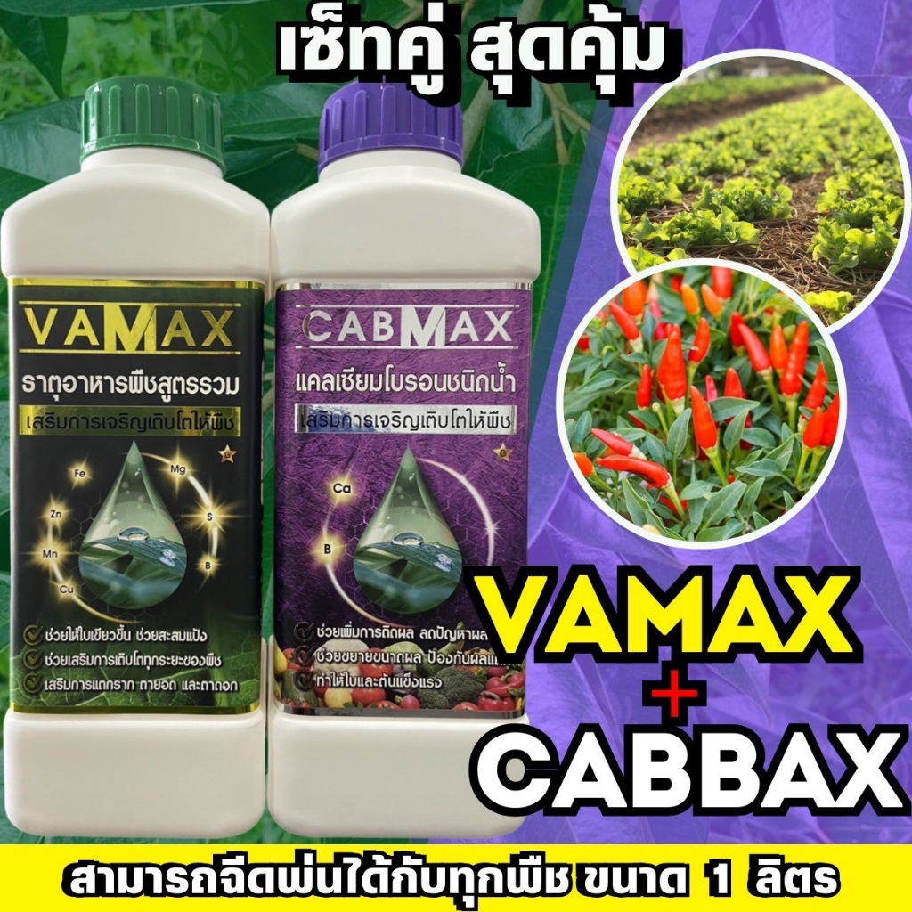 ซื้อ 1 แถม 1 ปุ๋ยธาตุรวม (VAMAX + CABMAX แคลเซียมโบรอน) เซ็ทคู่บำรุงต้น ...