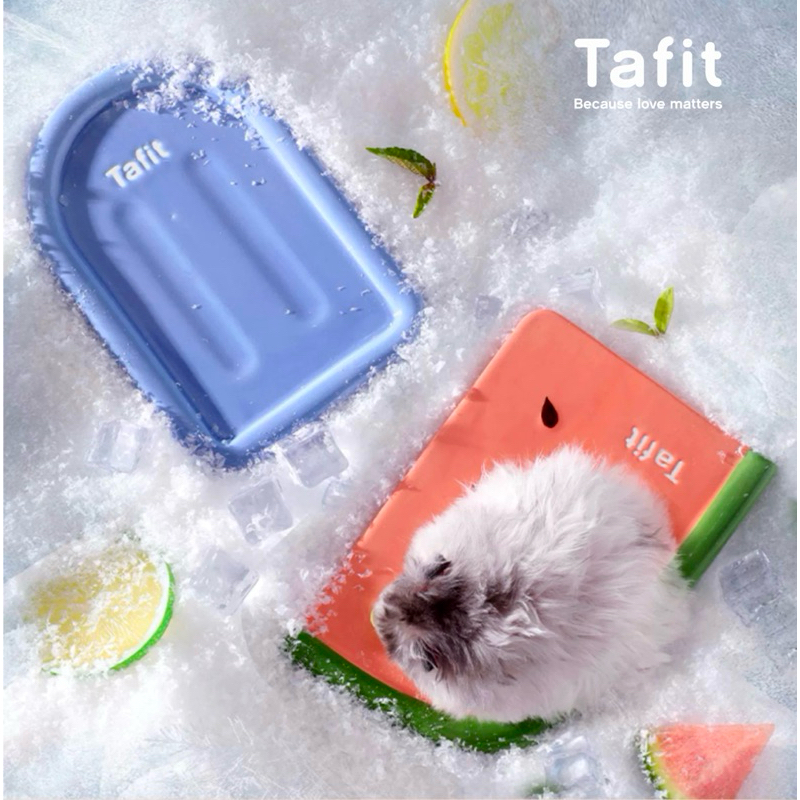 [Tafit] แผ่นเย็นซัมเมอร์ แผ่นเย็นสัตว์เลี้ยง แผ่นเย็นเซรามิก แฮมสเตอร์ ...