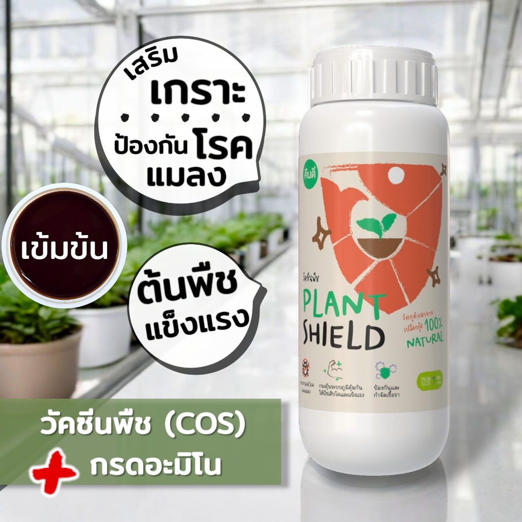 ส่งฟรี ‼️ | Plant Shield (วัคซีนพืช +amino) กำจัดเชื้อรา ป้องกันโรค ...