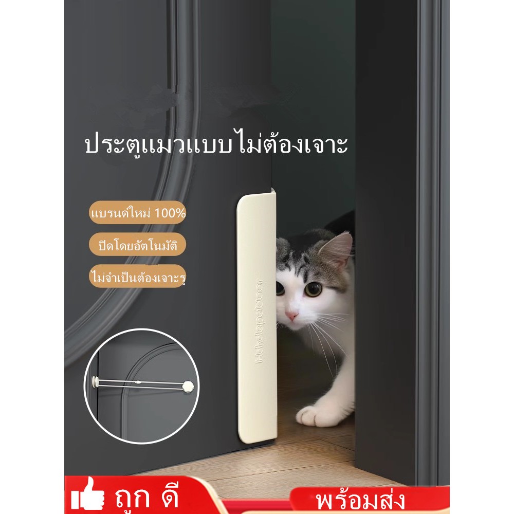 MR.WEI พร้อมส่ง ประตูแมวไม่เจาะ ประตูสุนัข ติดตั้งง่าย ไม่ต้องเจาะ ...