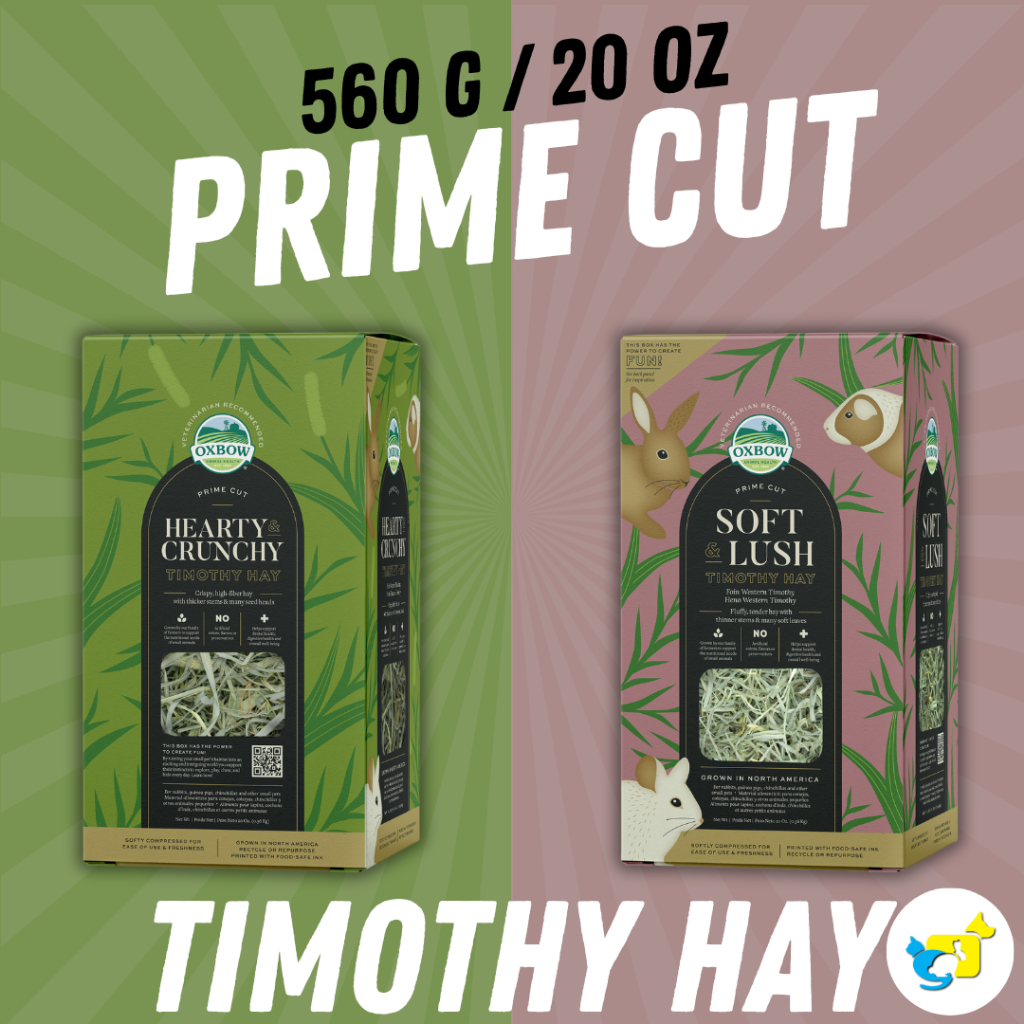 Oxbow Prime Cut Timothy Hay หญ้าทิโมธีเกรดพรีเมี่ยมตัดช่วงเวลาที่ดี ...