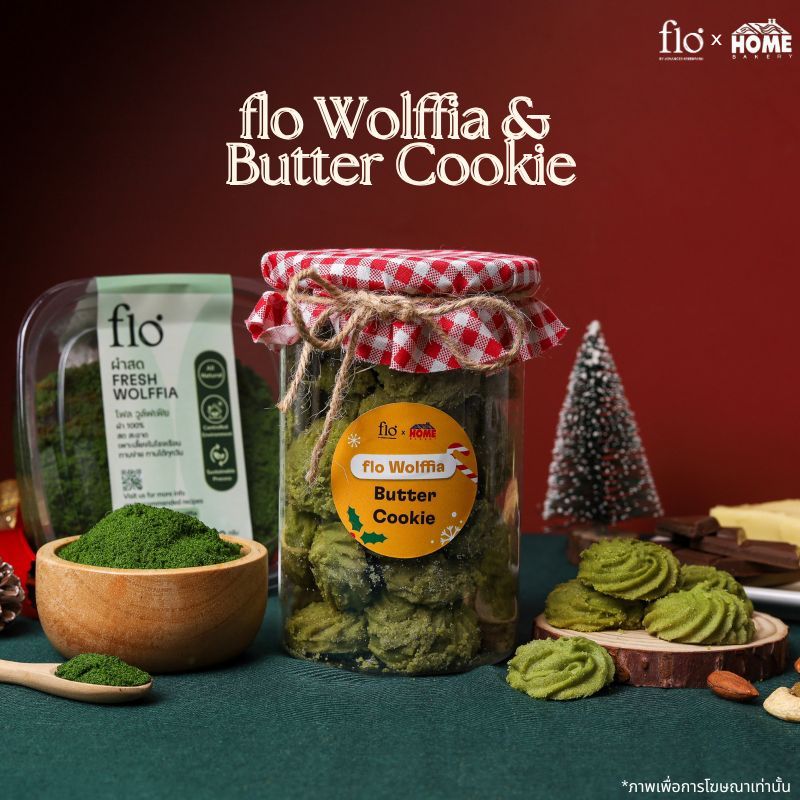 flo Wolffia & butter cookie คุกกี้ผำเนยสด | Shopee Thailand