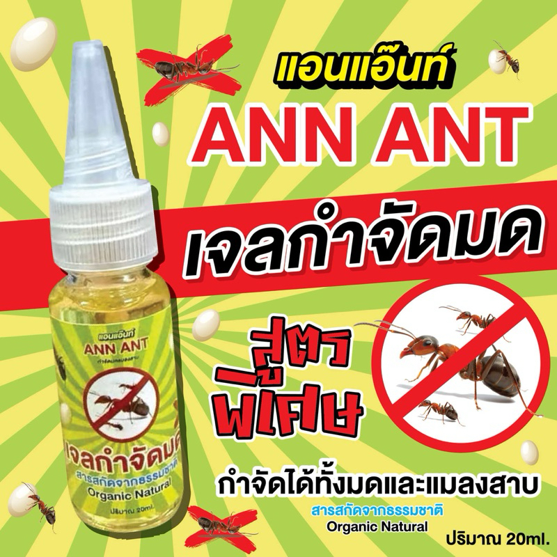 1ขวด แอนแอ๊นท์ เหยื่อกำจัดมด แมลงสาบ Ann Ant 20ml. | Shopee Thailand