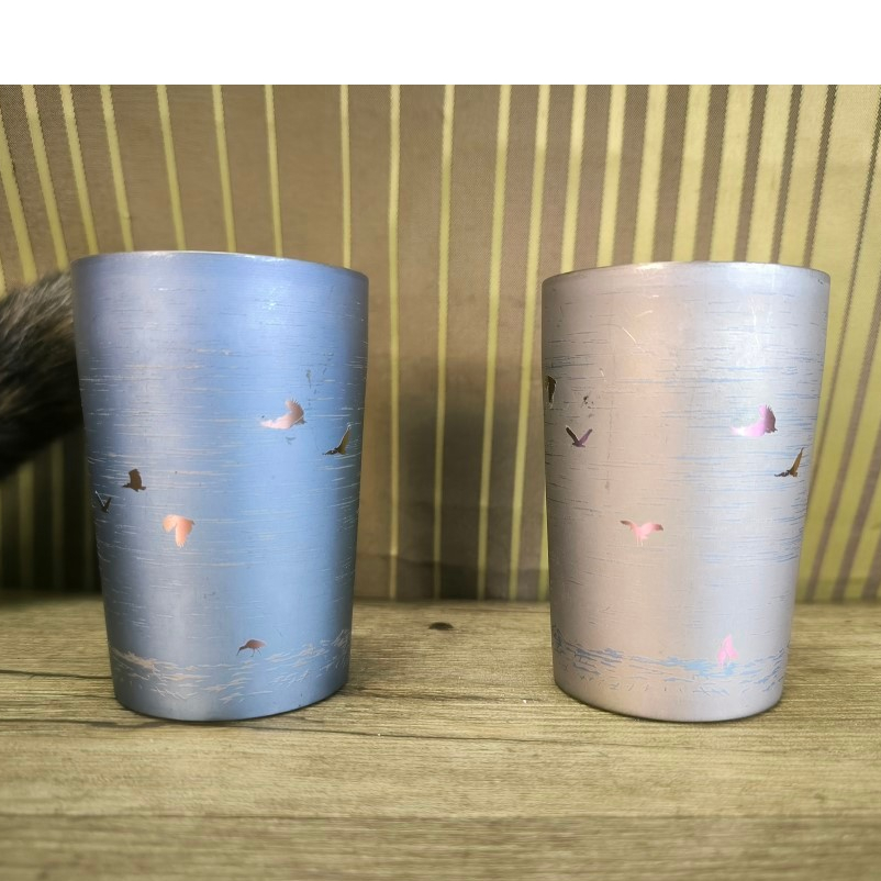 แก้ว HORIE TITANIUM MADE IN JAPAN มือสอง | Shopee Thailand